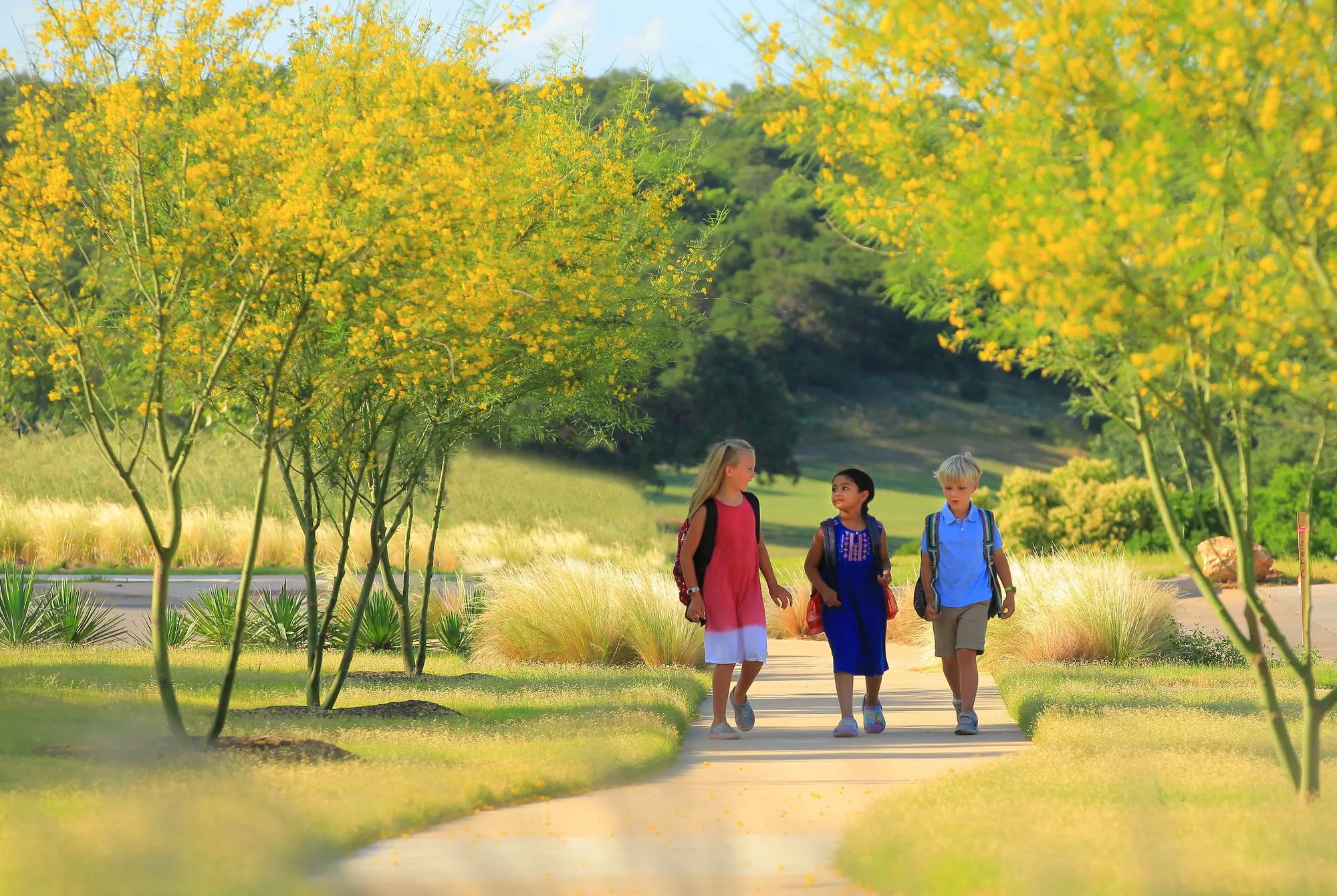 New Homes Georgetown, TX at Wolf Ranch West Bend 60'